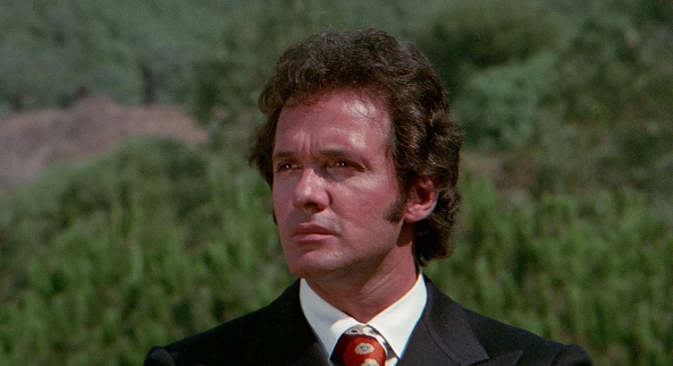 Peter Carpenter Double Feature: Vixen (1968) and Love Me Like I Do ...